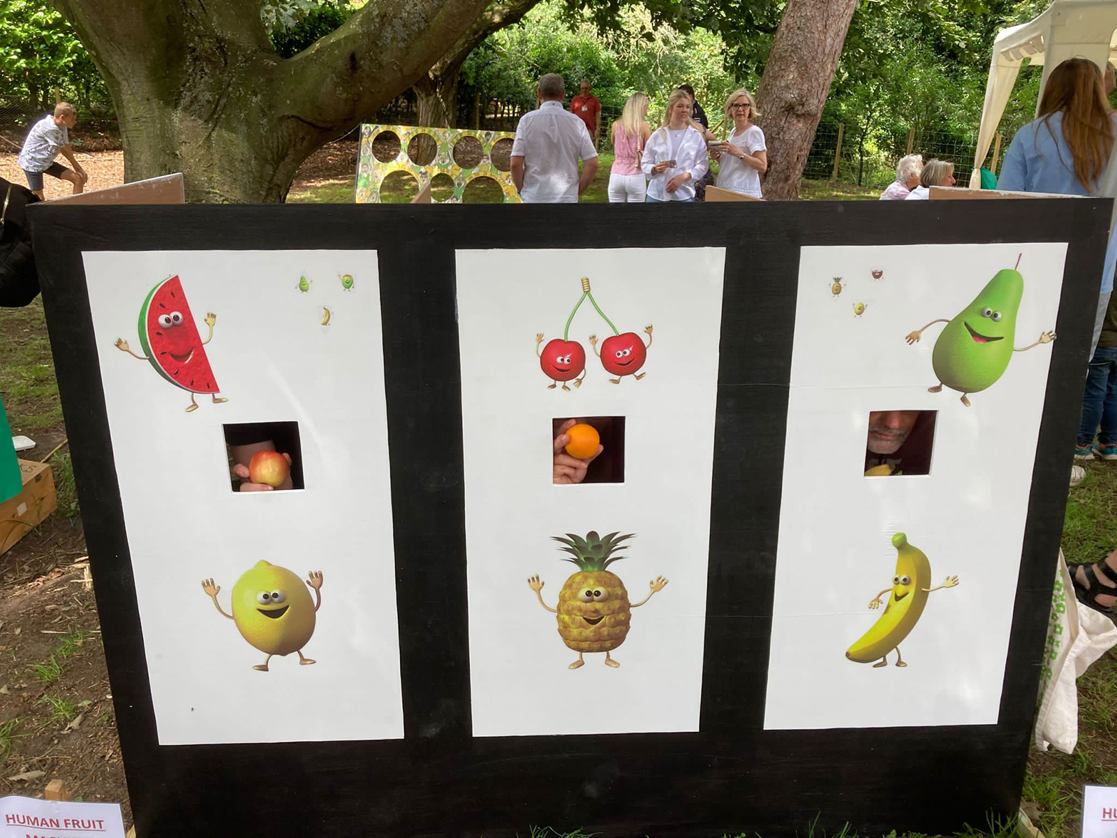 Gallery of Geldeston Village Hall Fete 2023 | Gallery of Geldeston ...